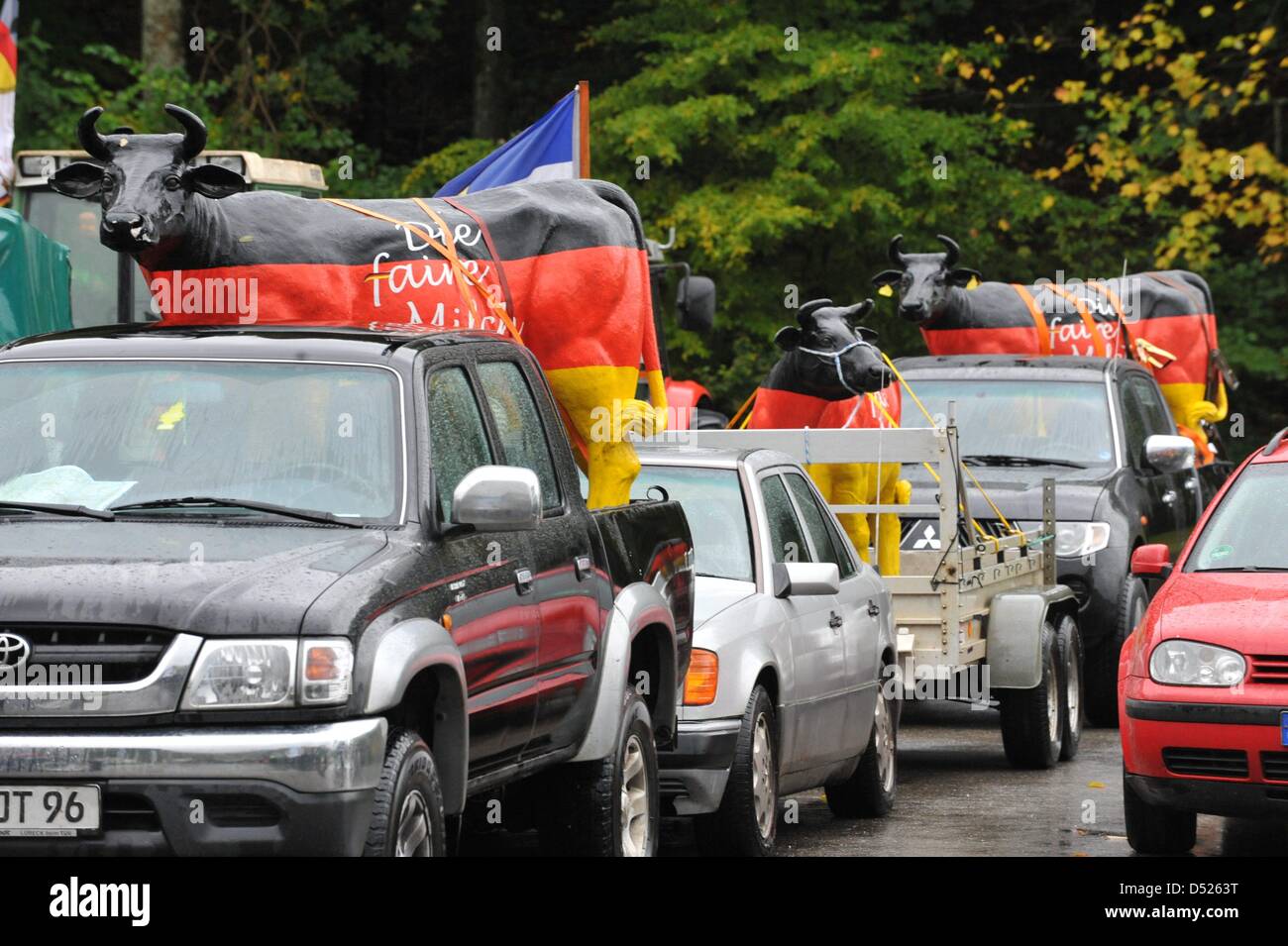 Plastic cows wearing the German national colours participate in a ...