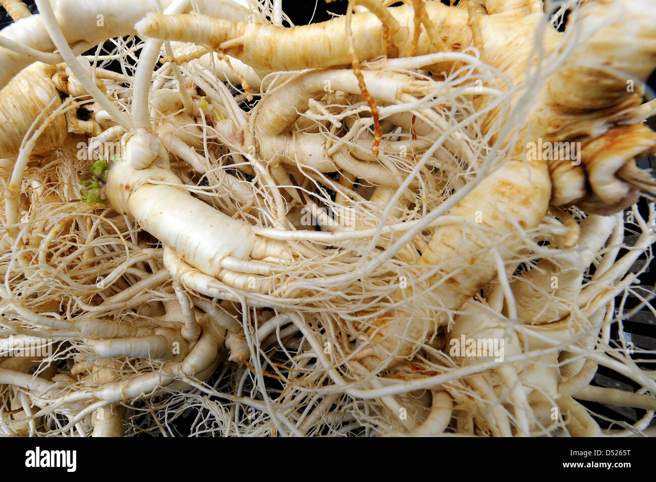 Used in medical ointments hi-res stock photography and images - Alamy