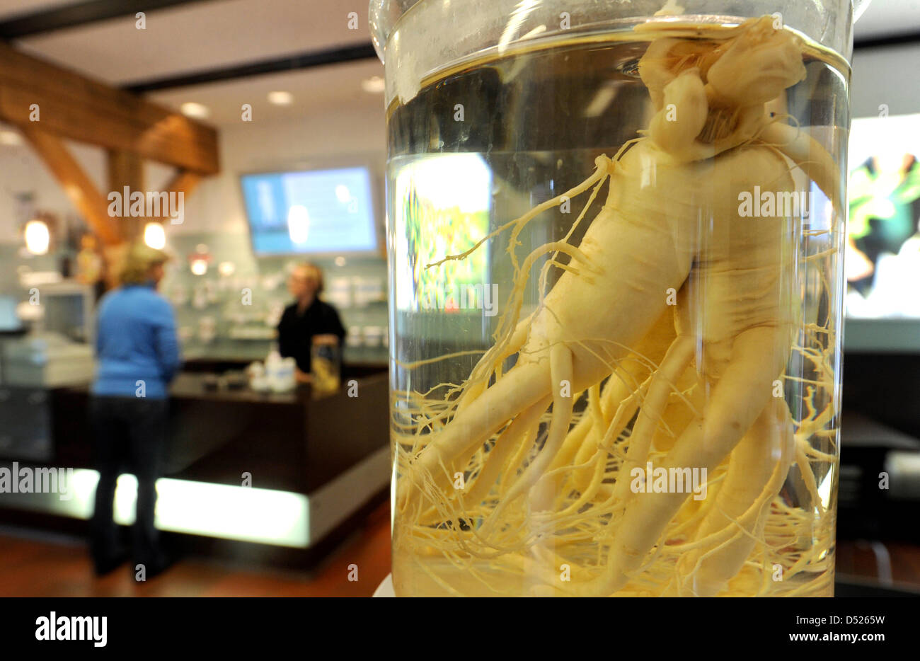In alcohol inserted Ginseng is situaed in a shop of a Ginseng ...