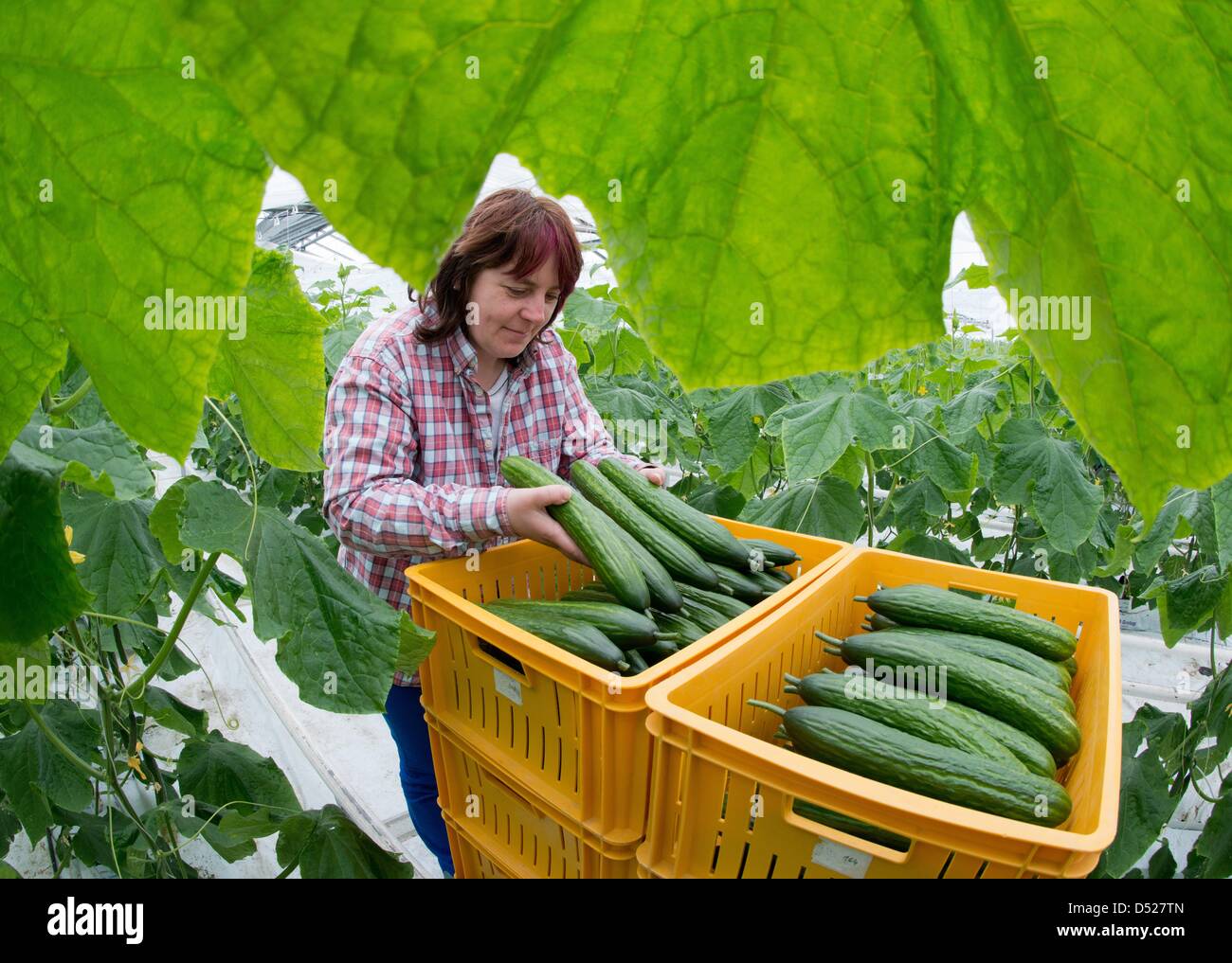 Jutta rohde hi-res stock photography and images - Alamy