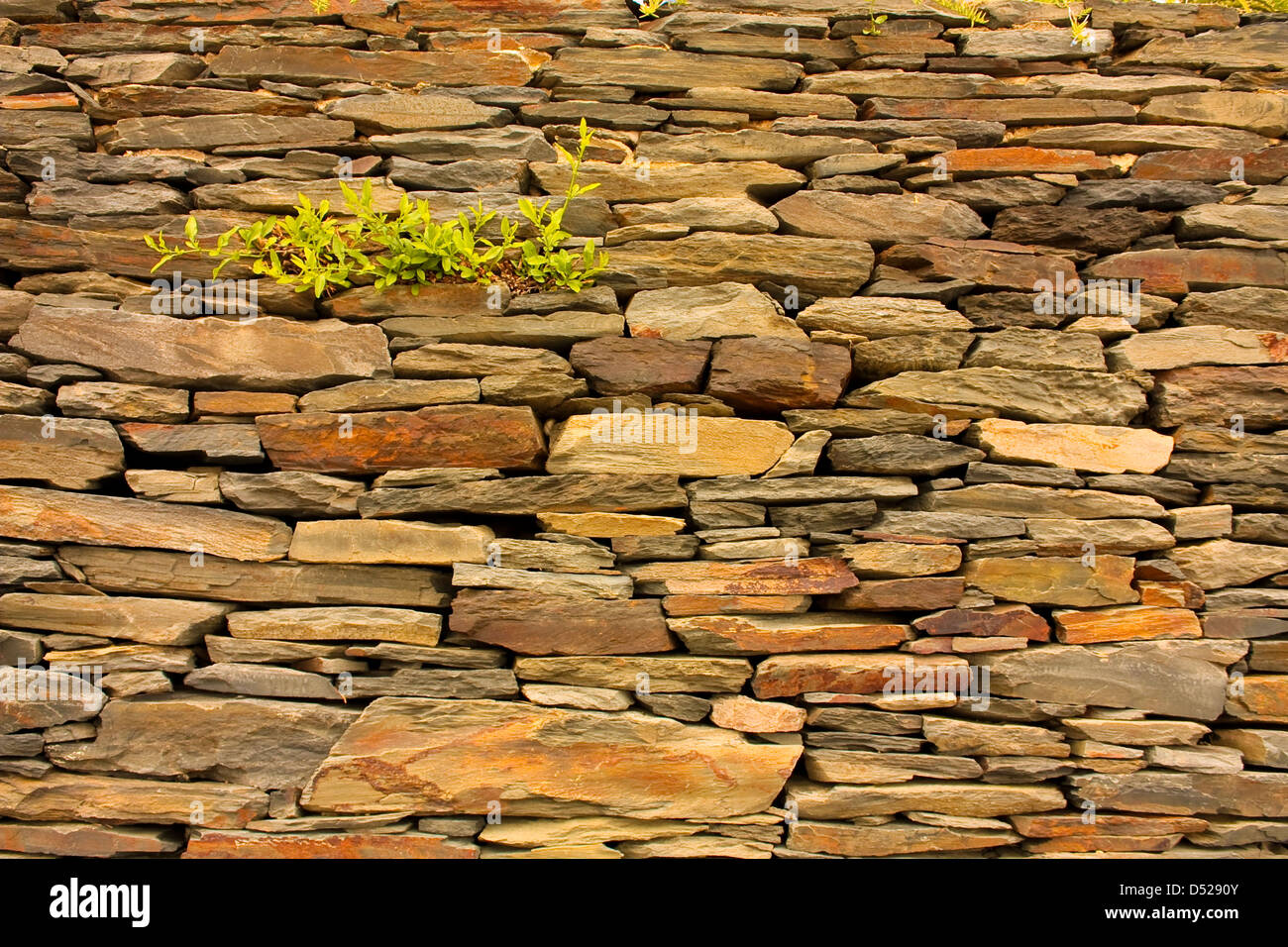 Chert wall hi-res stock photography and images - Alamy