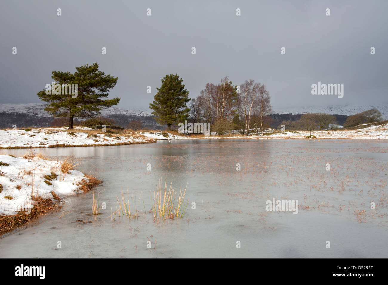 Torver common lake district hi-res stock photography and images - Alamy