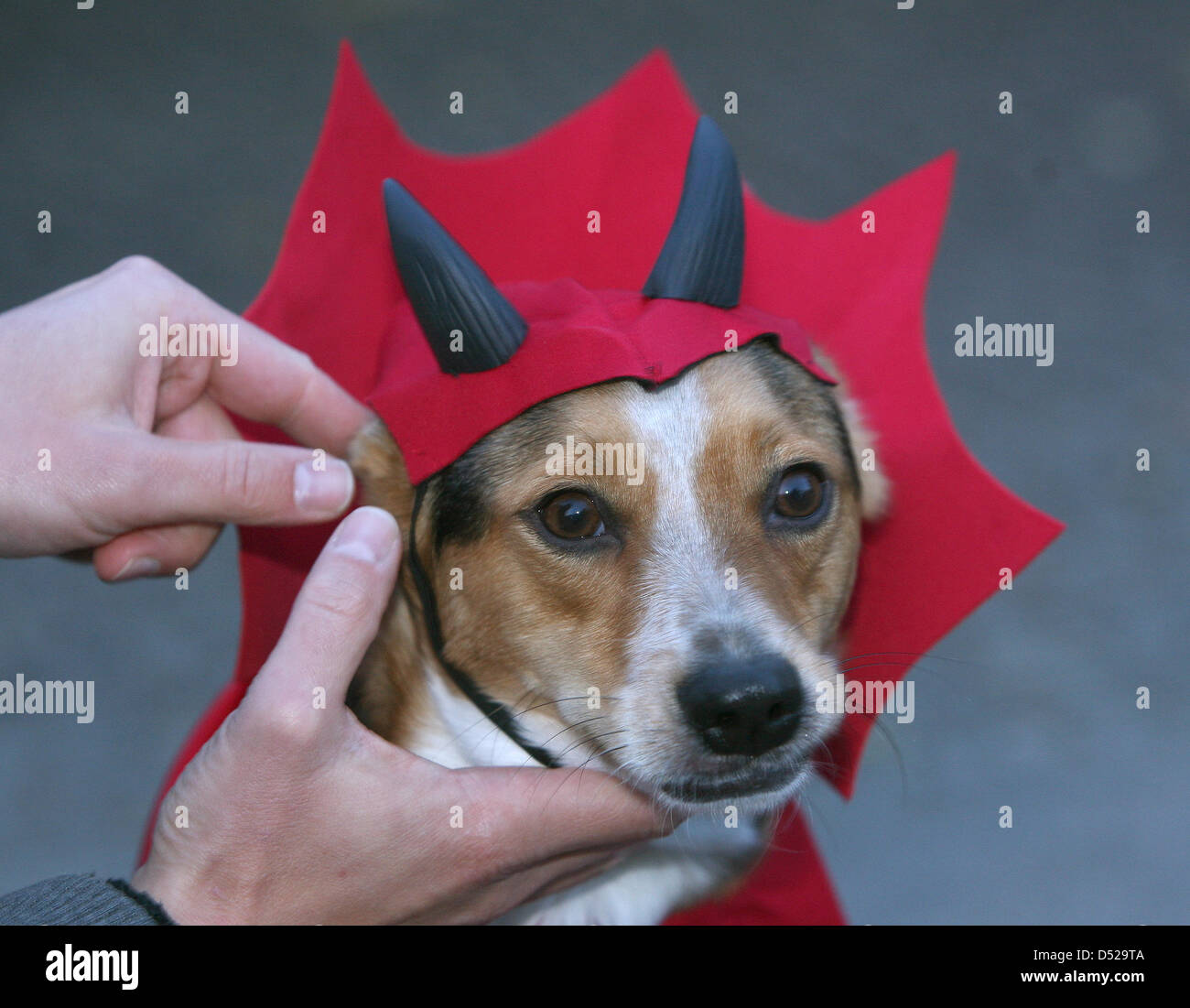 Stephanie mask hi-res stock photography and images - Alamy