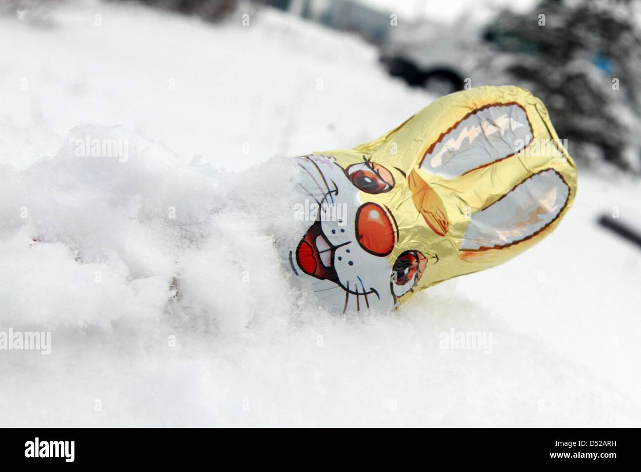 ILLUSTRATION - A chocolate Easter bunny lies in snow in Wernigerode ...