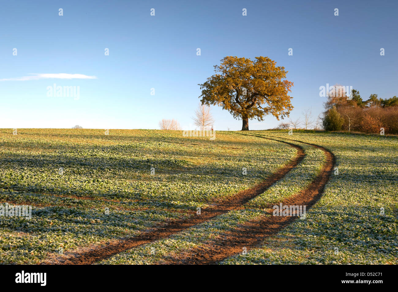 Field with tracks hi-res stock photography and images - Alamy