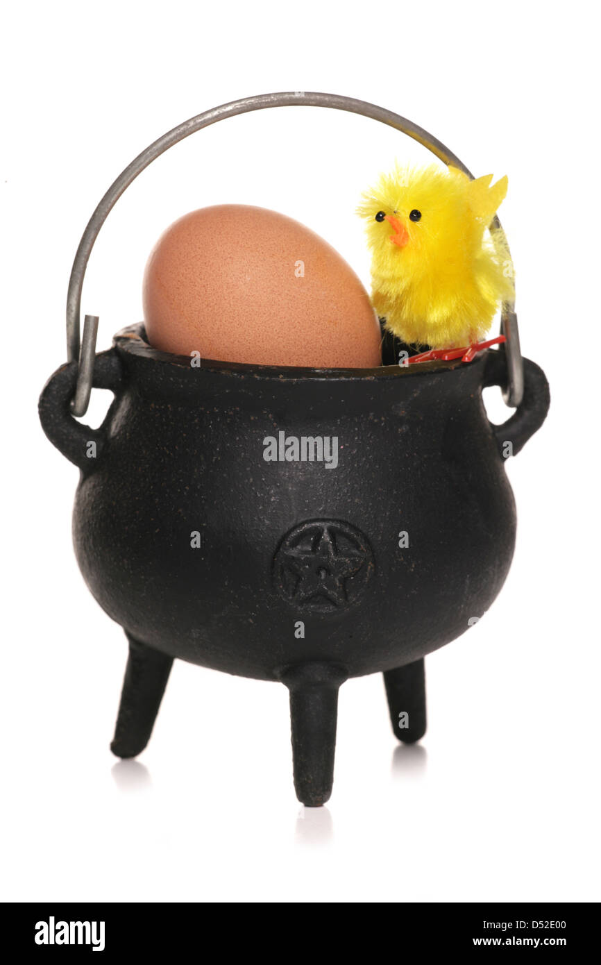 Chick in studio hi-res stock photography and images - Alamy