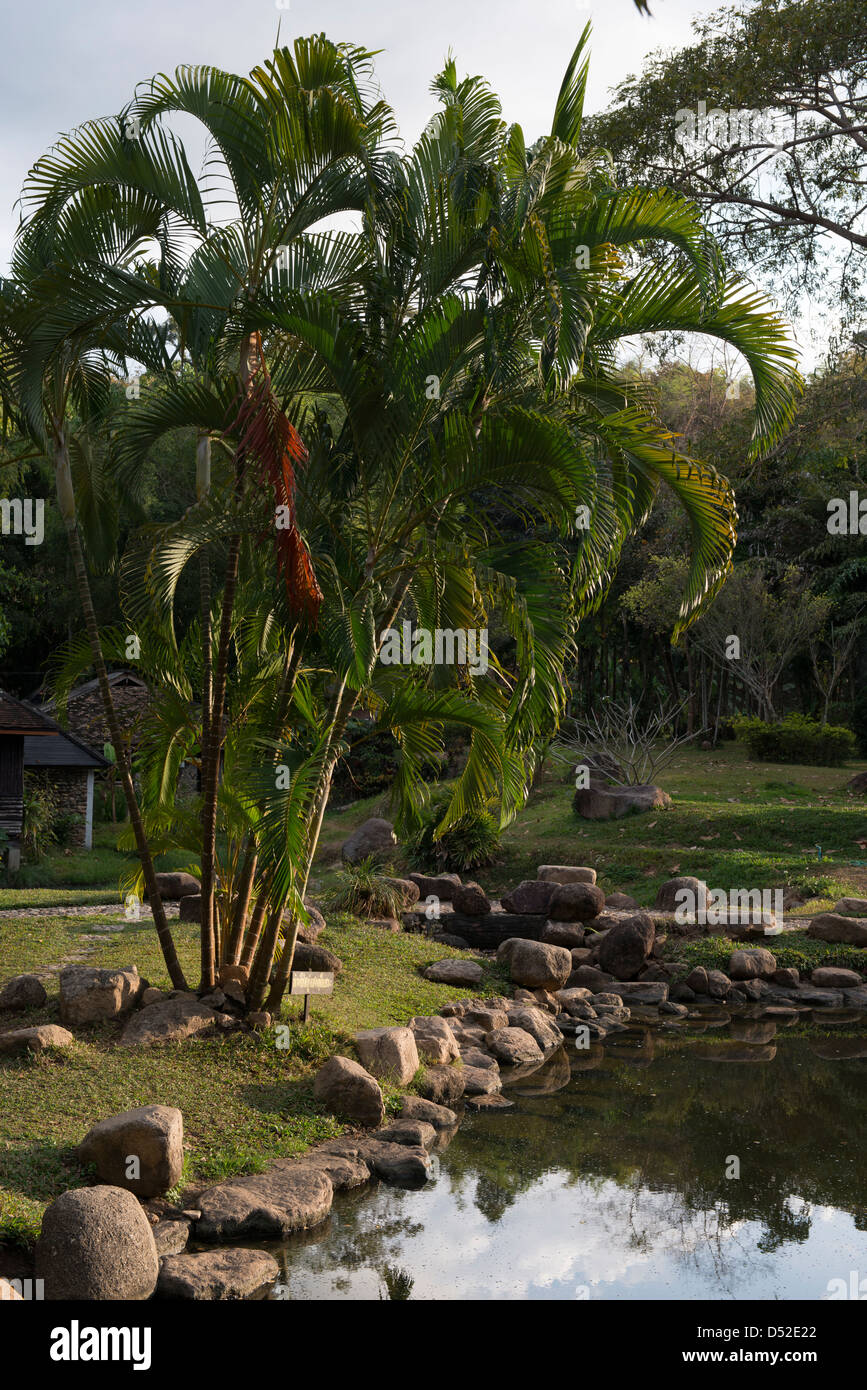 Chae son national park hi-res stock photography and images - Alamy