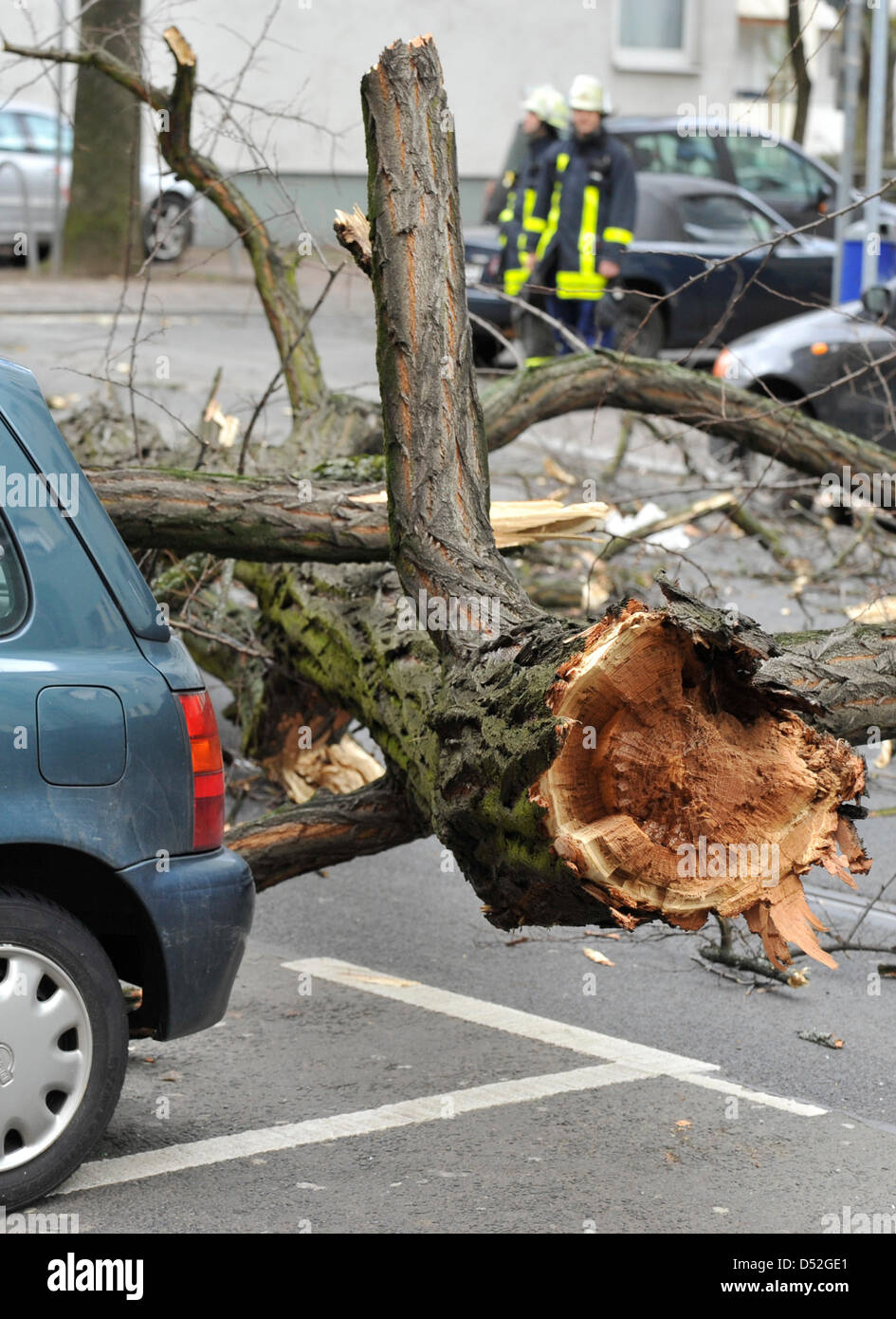 A broken tree lies on the street in Frankfurt Main, Germany, 28 ...