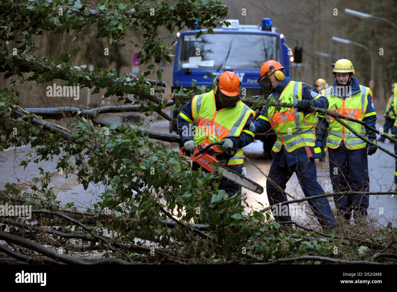 Members of the technical emergency service cut a broken tree in Cologne ...