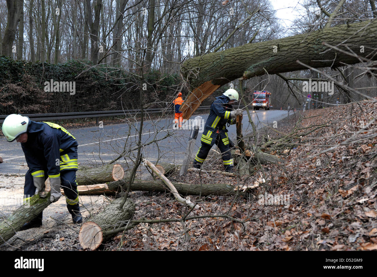 Firemen cut a broken tree in Cologne, Germany, 28 February 2010. Low ...
