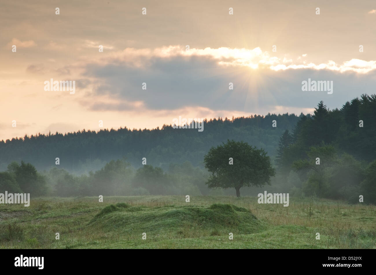 Beauty of the fog hi-res stock photography and images - Alamy
