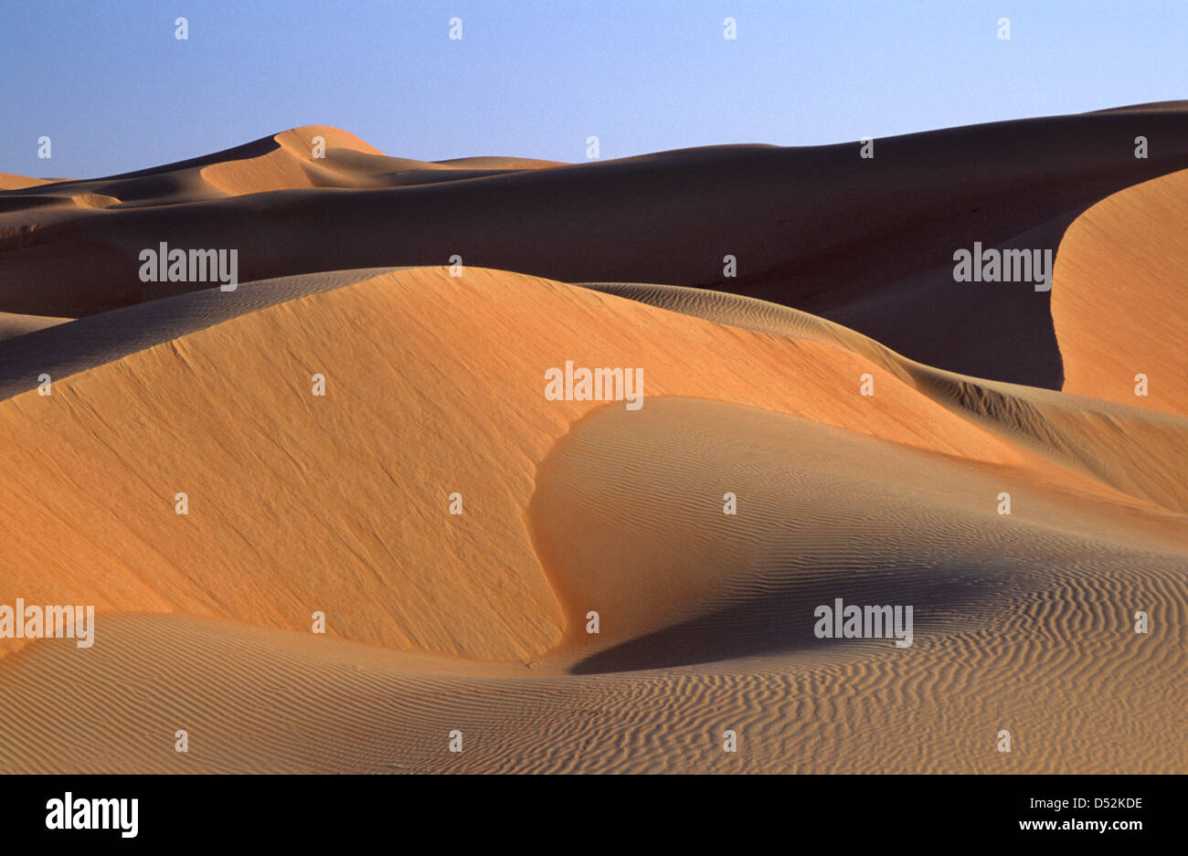 Sand Dunes in the Rub al-Khali, United Arab Emirates Stock Photo - Alamy