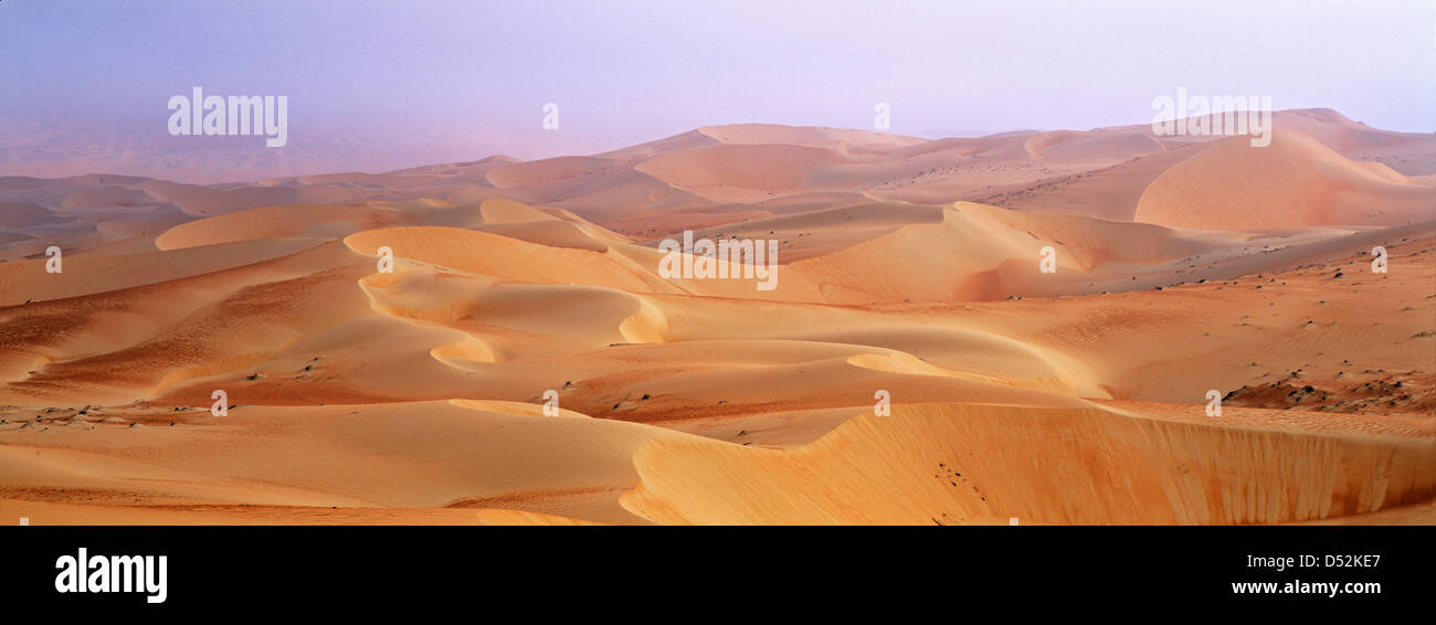 Sand Dunes in the Rub al-Khali, United Arab Emirates Stock Photo - Alamy