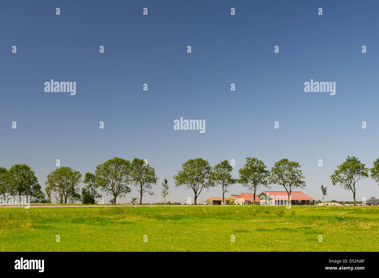 Dutch landscape with meadows and farmhouse Stock Photo - Alamy