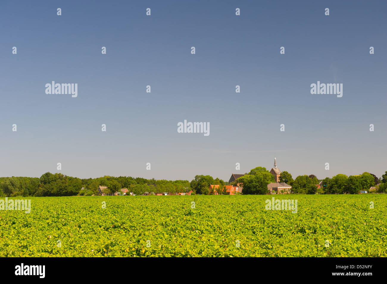Groningen landscape hi-res stock photography and images - Alamy
