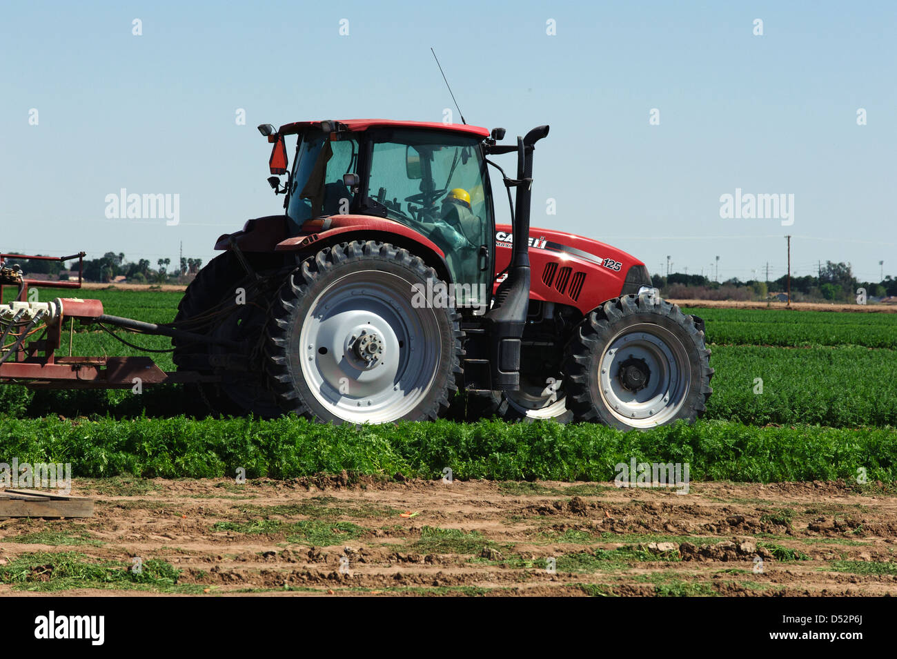 Case tractor in a harvested carrot field Stock Photo - Alamy