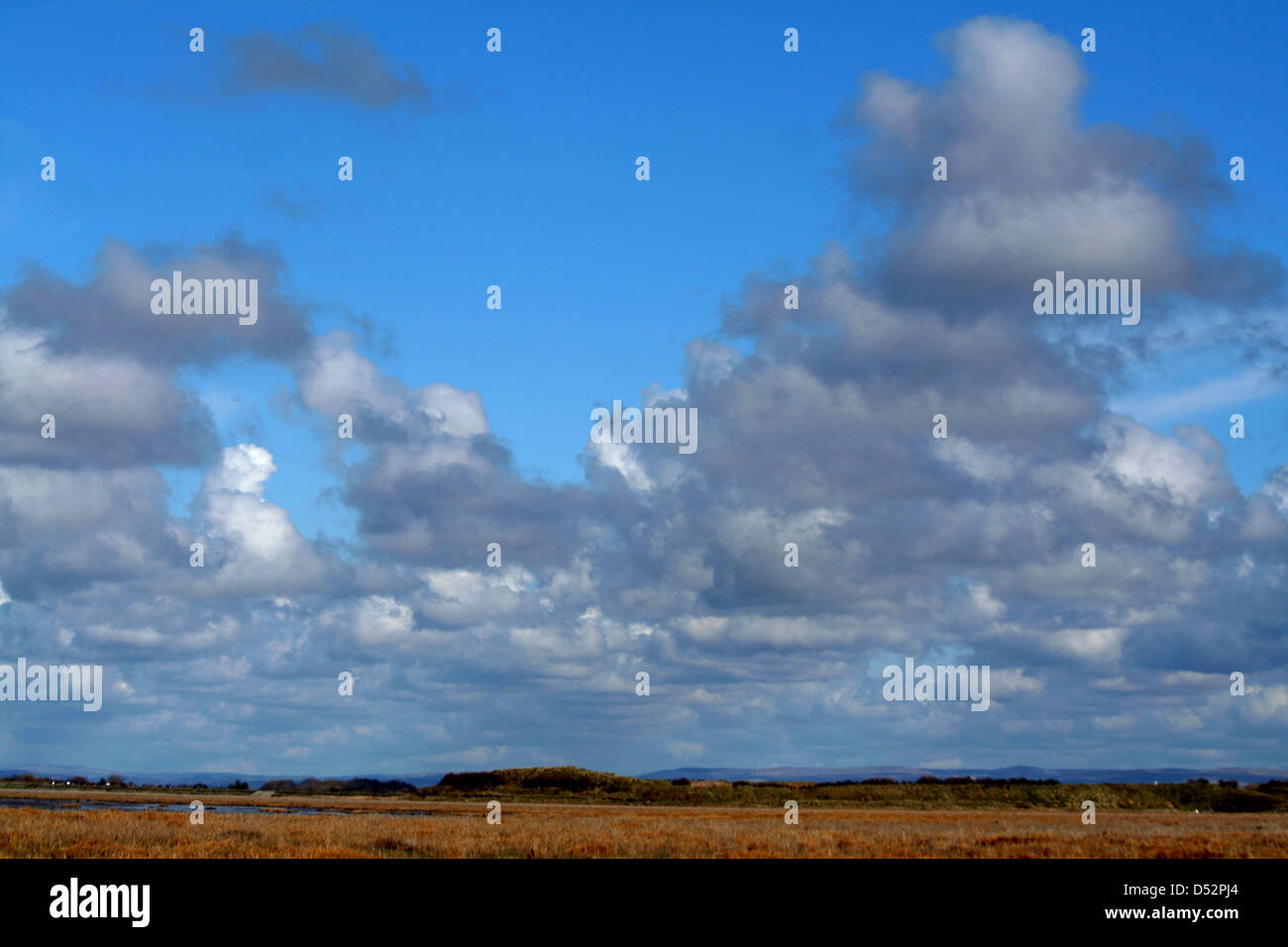 Blue sky with cumulus clouds Stock Photo - Alamy