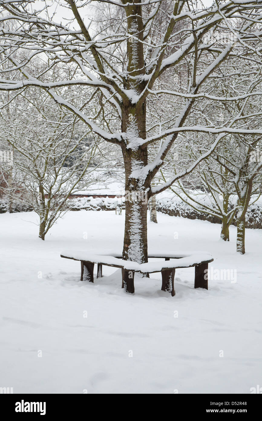 Tree bench in snow Stock Photo - Alamy
