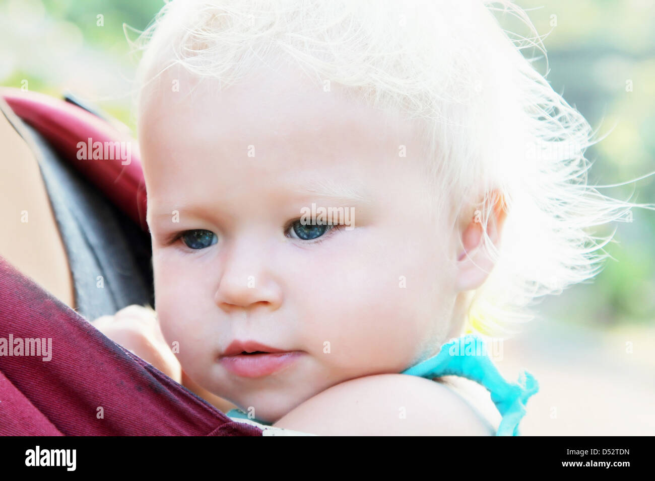 Baby sitting in the carrier Stock Photo - Alamy