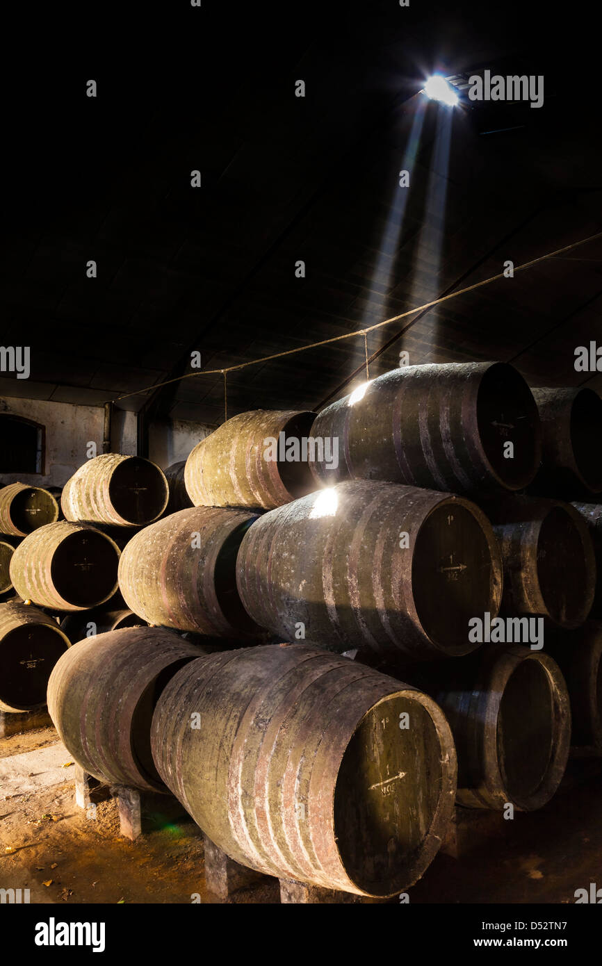 Bodegas barrels hi-res stock photography and images - Alamy