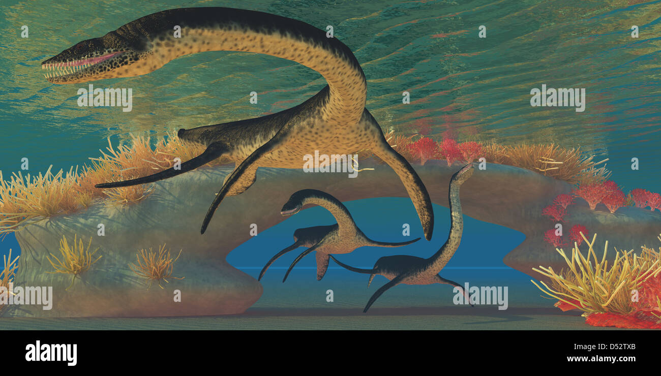 Three Plesiosaurus dinosaurs swim near a natural coral reef bridge in ...