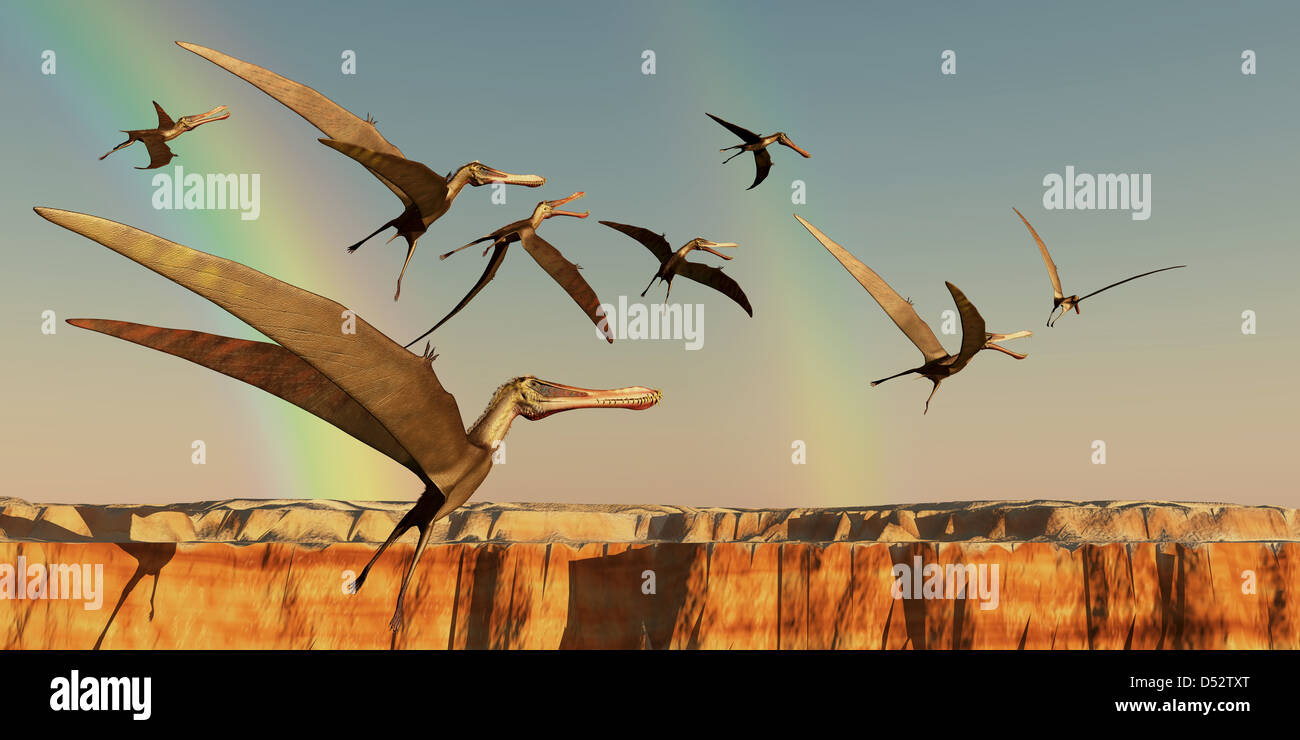 Prehistoric looking bird hi-res stock photography and images - Alamy