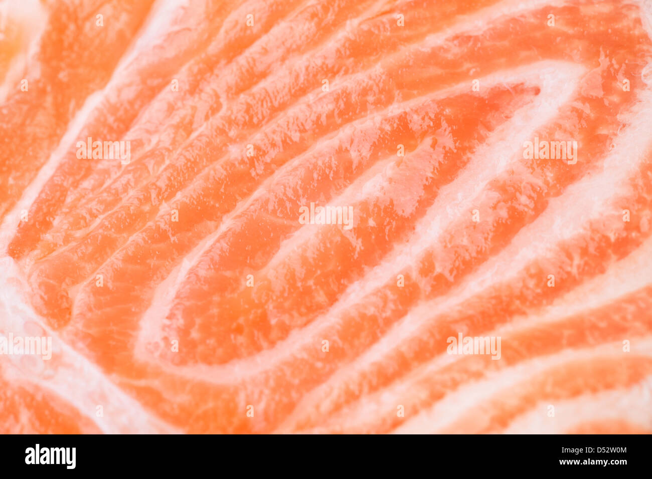 salmon meat on white background Stock Photo - Alamy