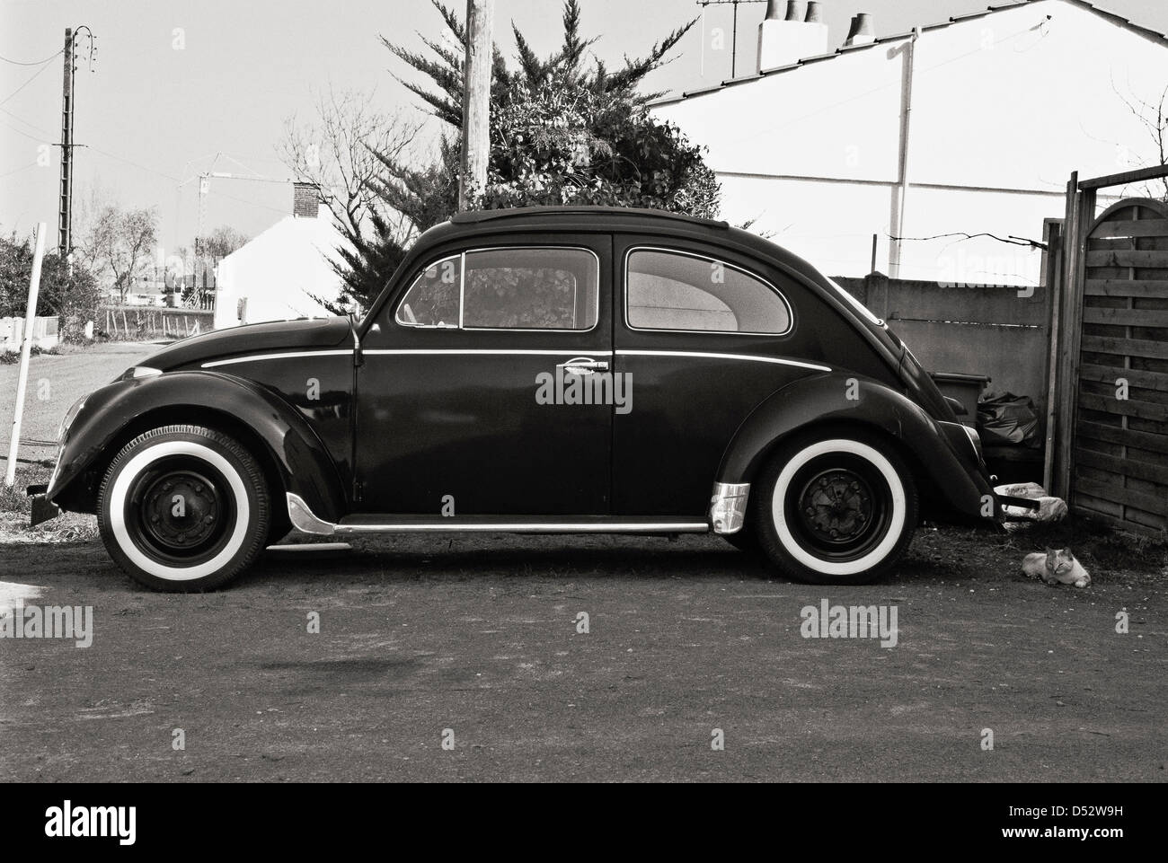 original volkswagen beetle Stock Photo - Alamy
