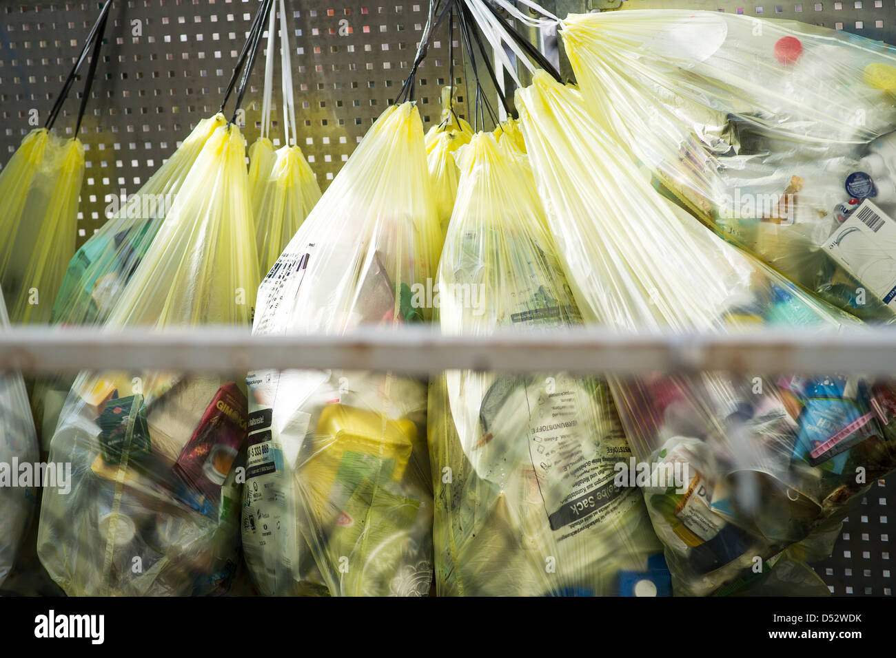 Yellow bags of recyclable household waste hang in the backyard of a ...