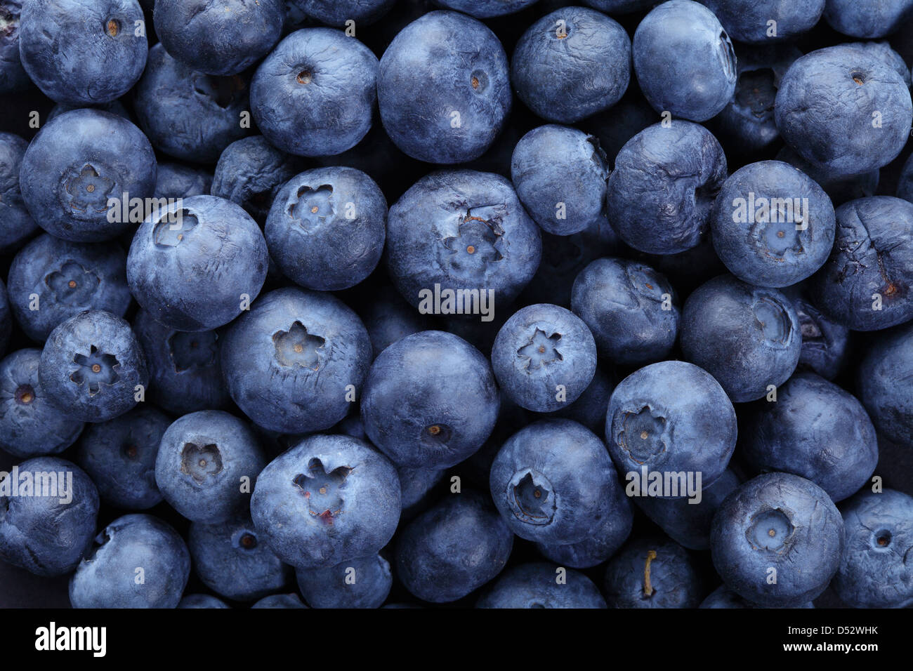 Organic blueberries in high resolution as a background Stock Photo - Alamy