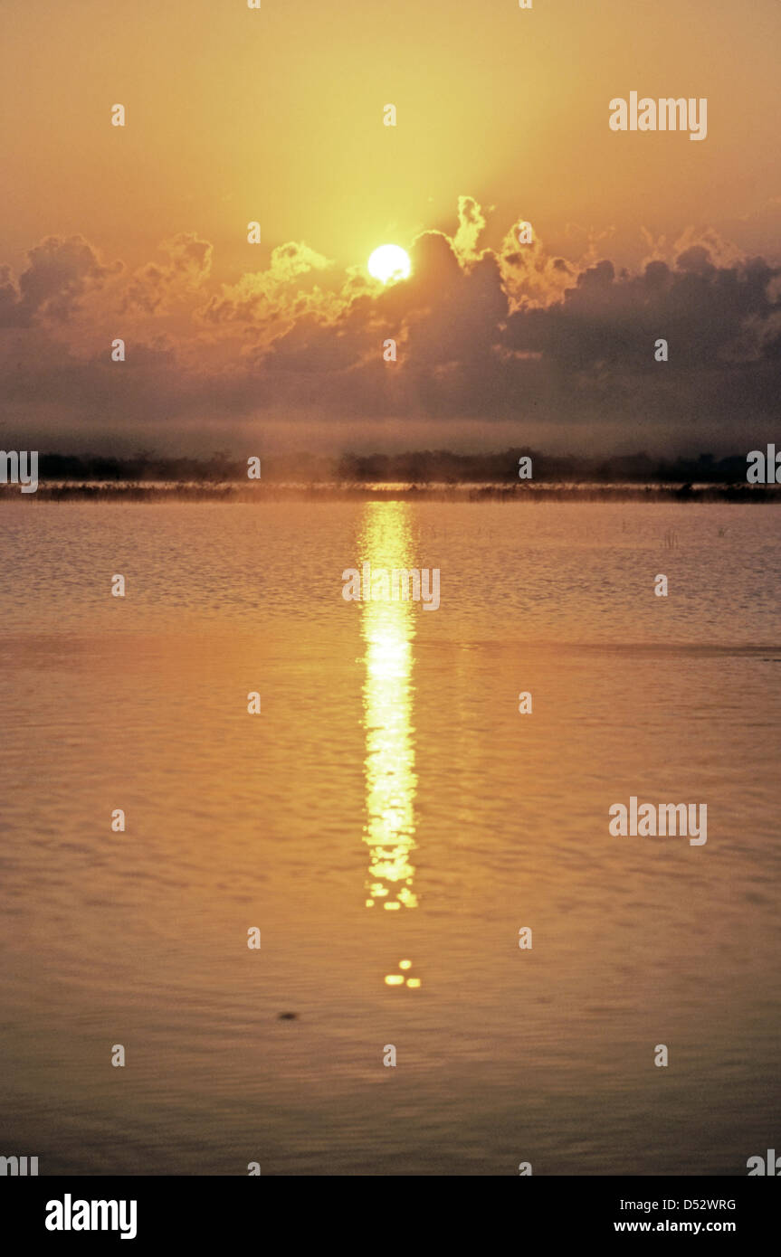 Sun rising over Crooked Tree lagoon Belize Stock Photo - Alamy