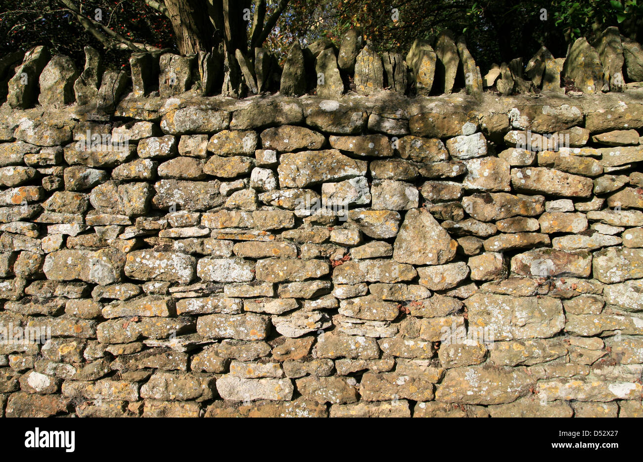 dry stone wall detail Little Rissington Gloucestershire England UK ...
