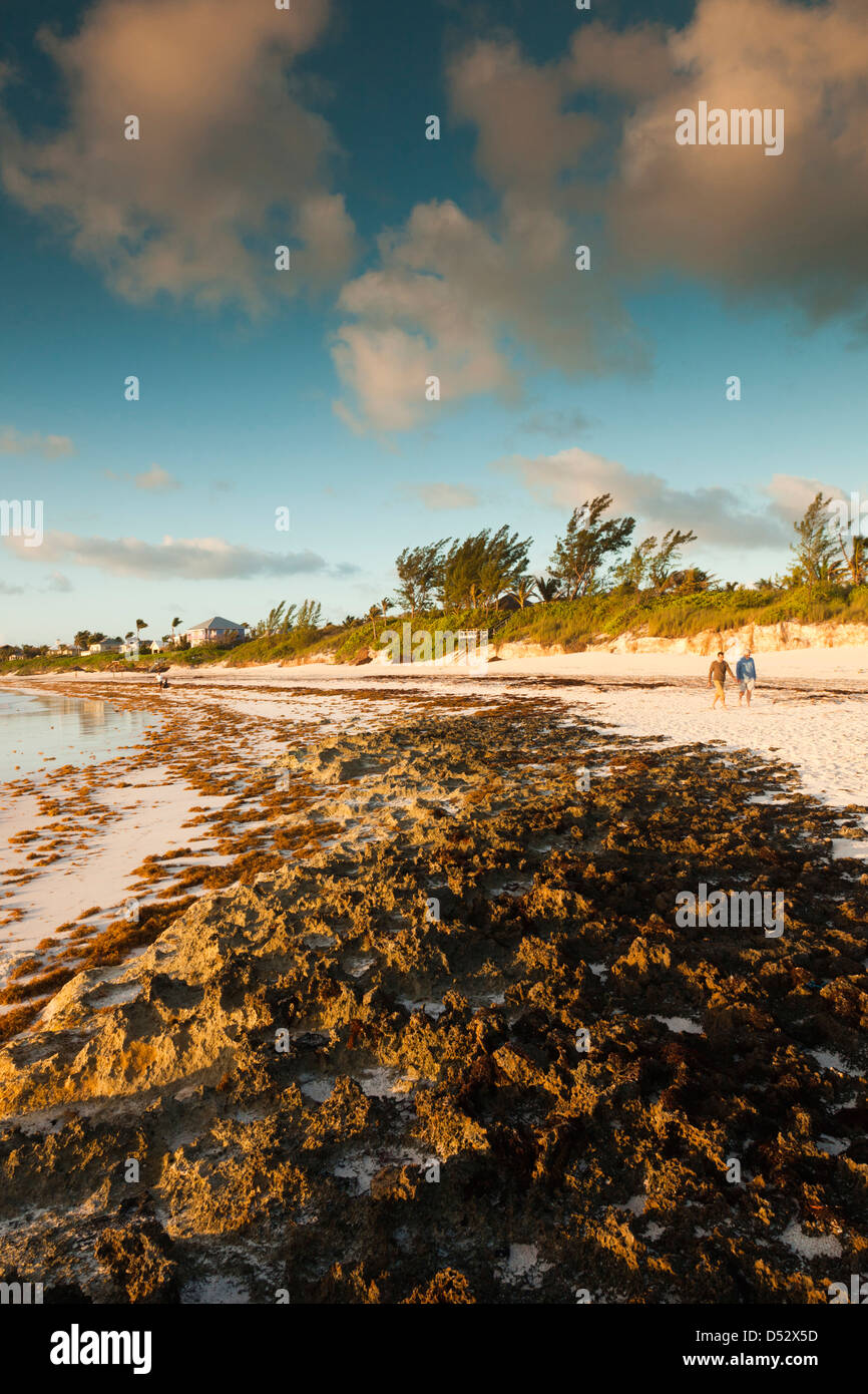 Bahamas, Eleuthera Island, Harbor Island, Pink Sands Beach, dawn Stock ...