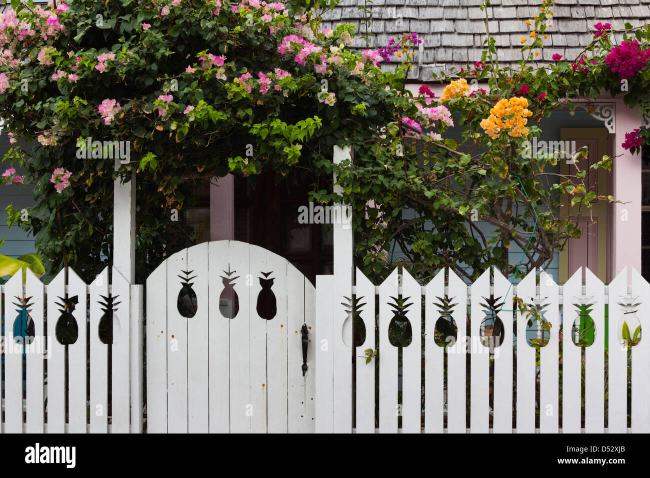 Eleuthera bahamas pineapple hi-res stock photography and images - Alamy