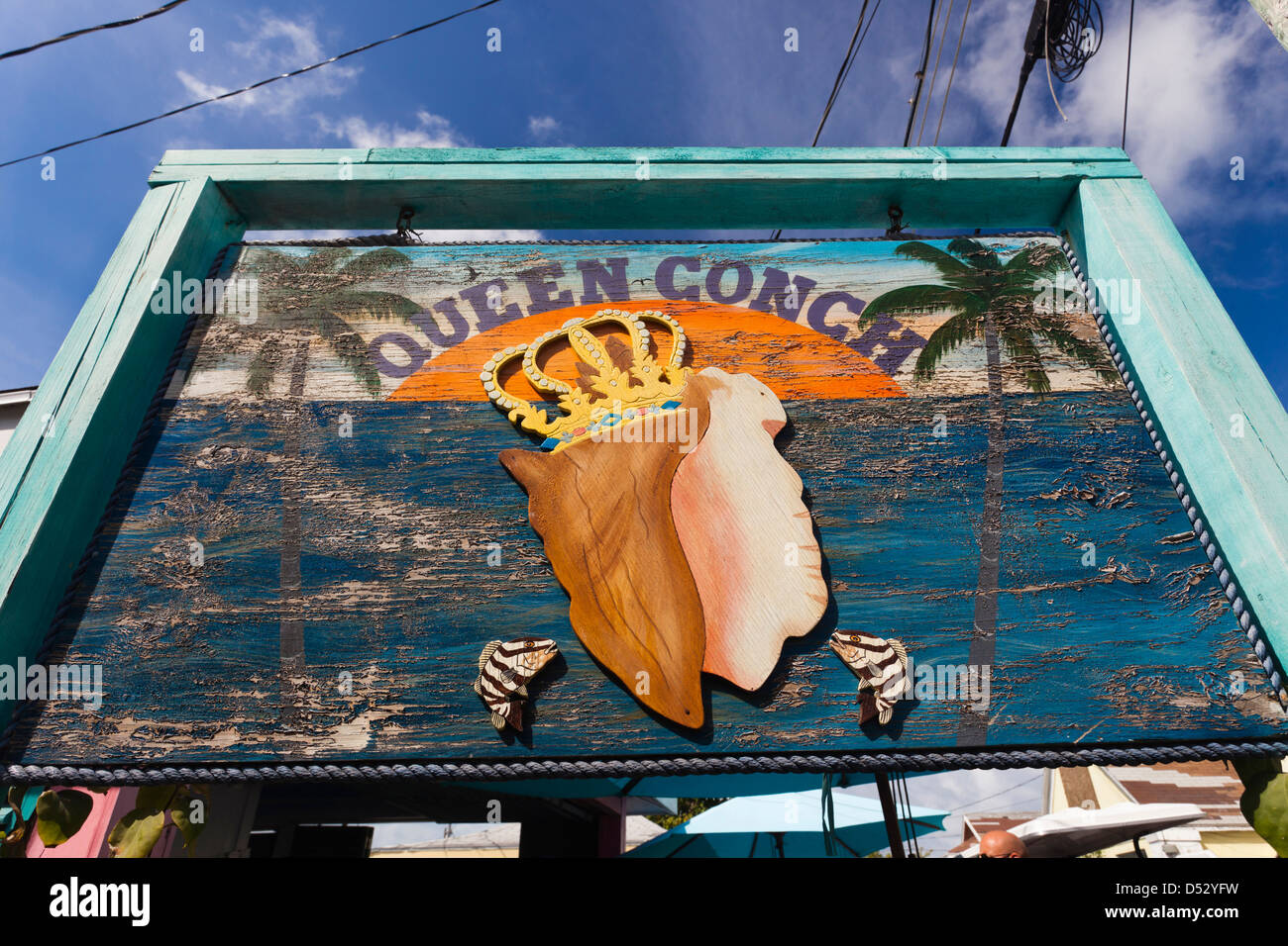 Queen conch, bahamas hi-res stock photography and images - Alamy