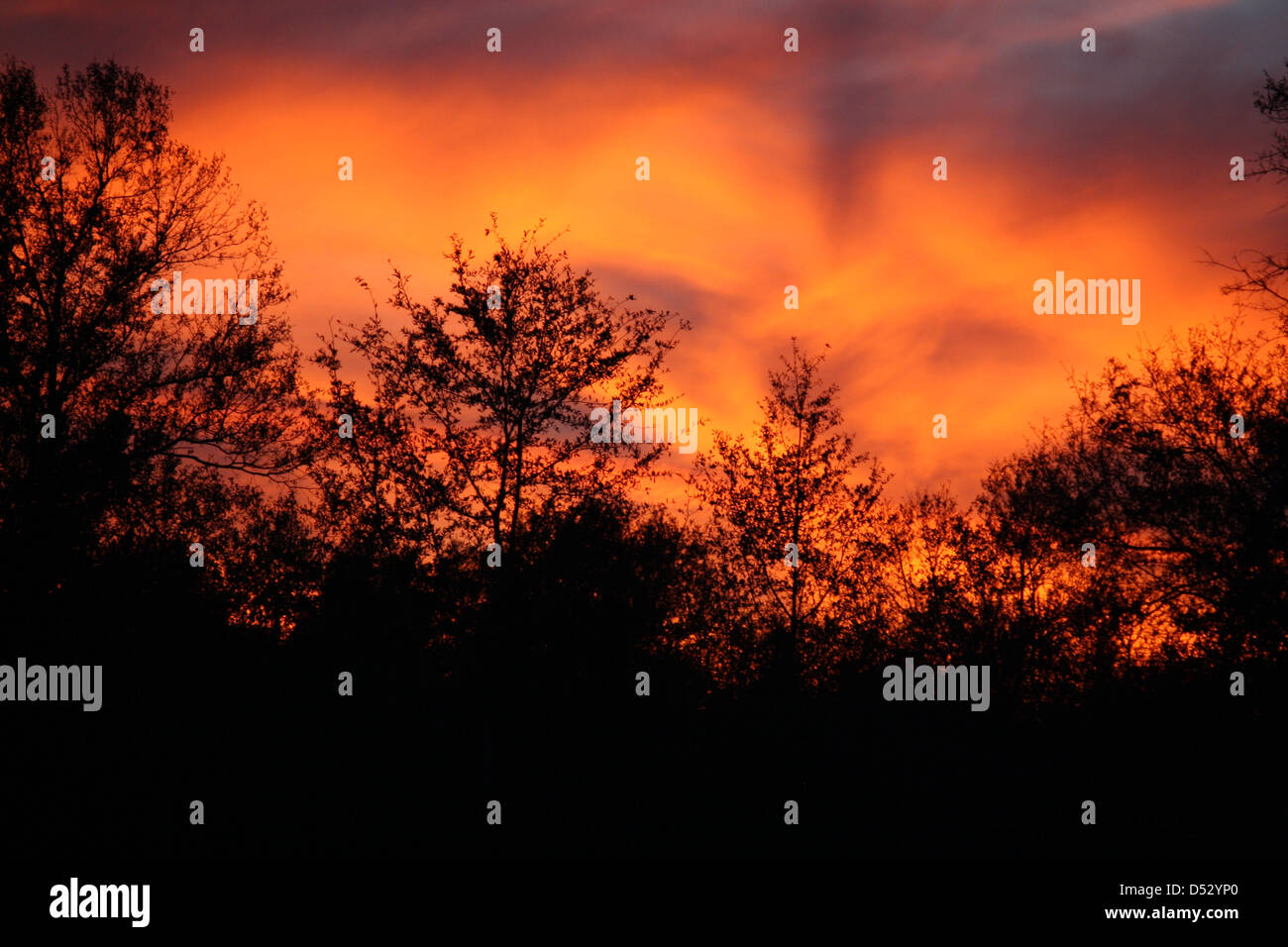 Sunset sky over Florida Stock Photo - Alamy