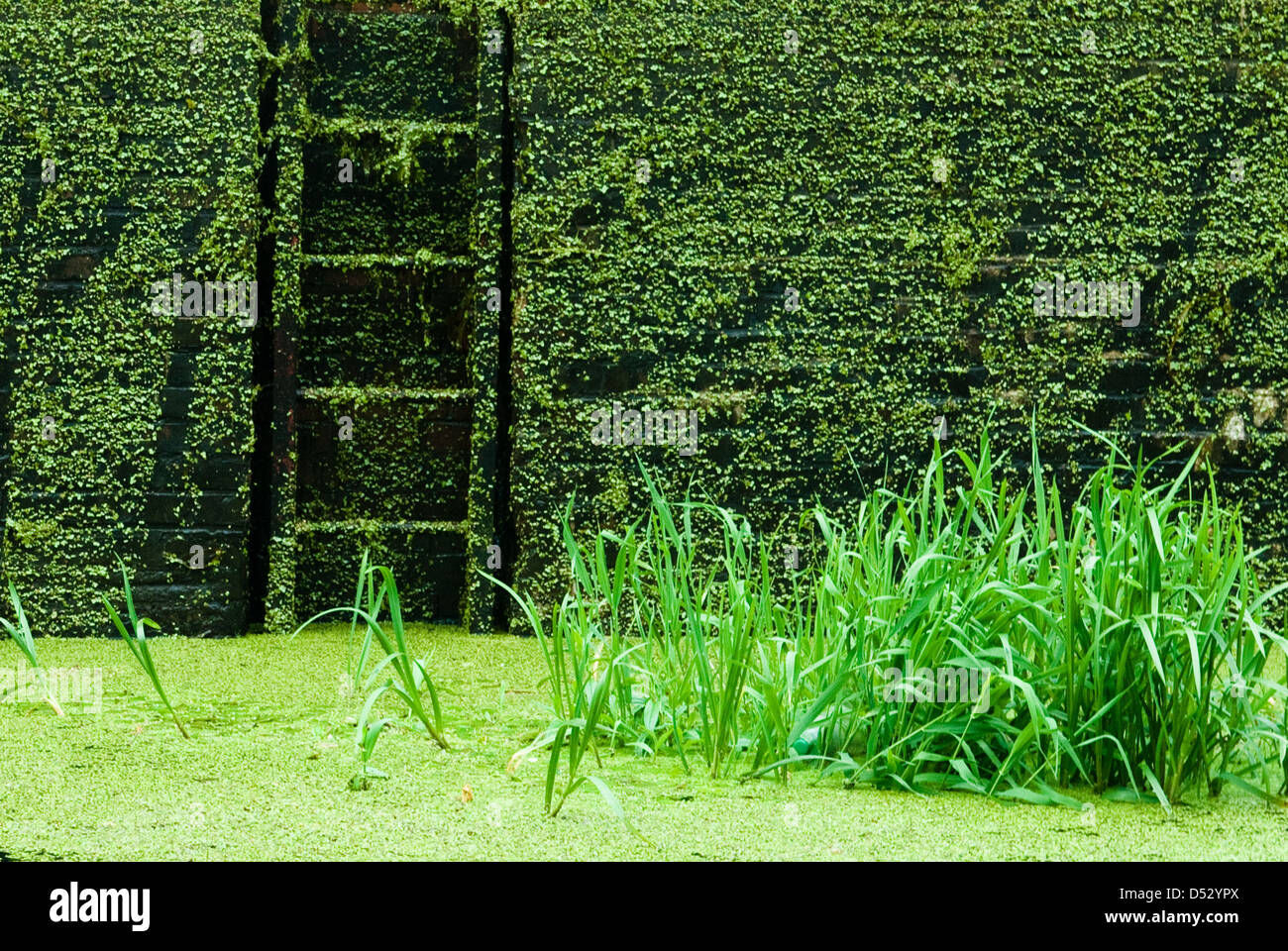 Notec river hi-res stock photography and images - Alamy