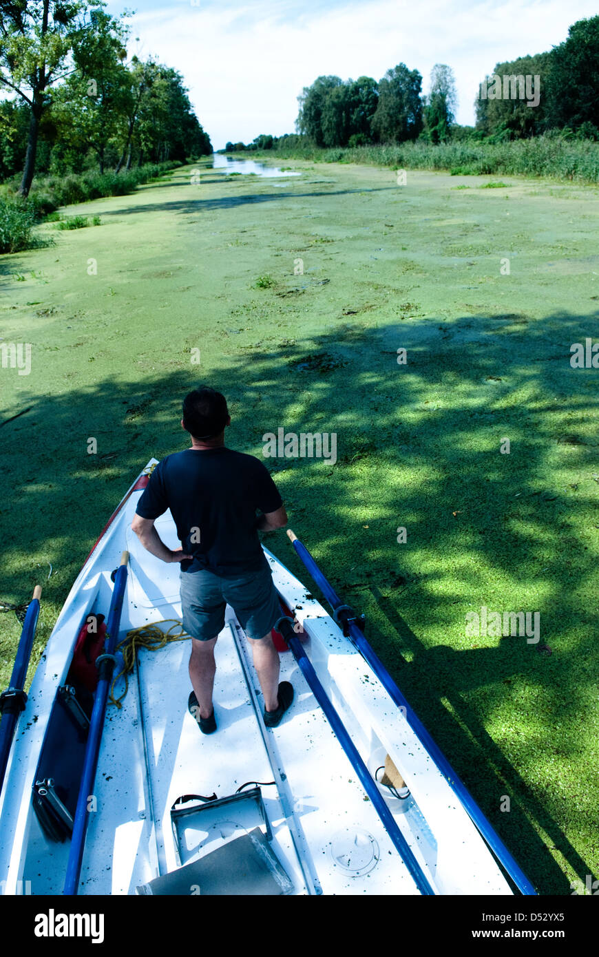 Notec river hi-res stock photography and images - Alamy