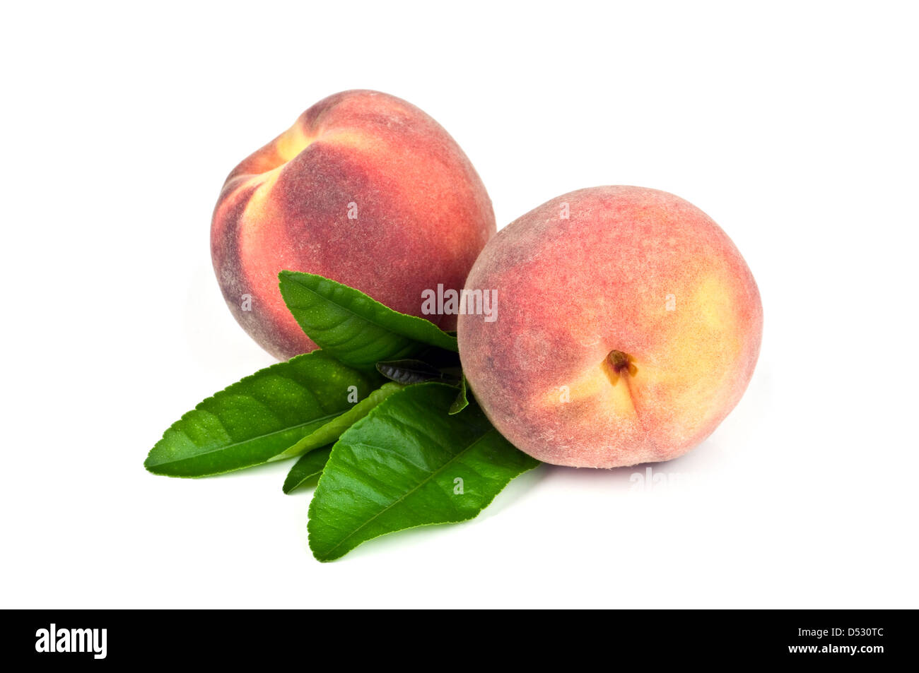 two peach isolated on white Stock Photo - Alamy