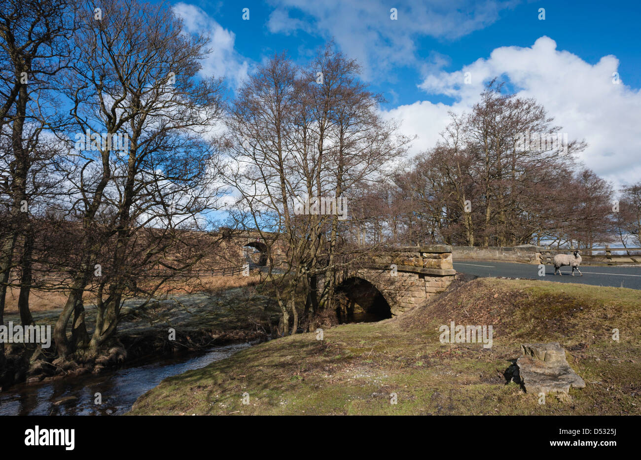 River beck hi-res stock photography and images - Alamy