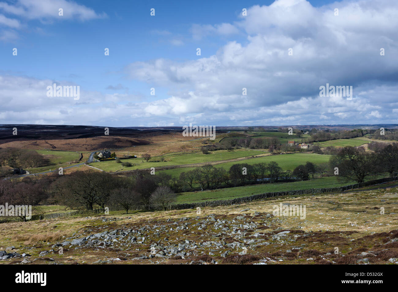 North York Moors National Park in early spring showing heather, rocks ...