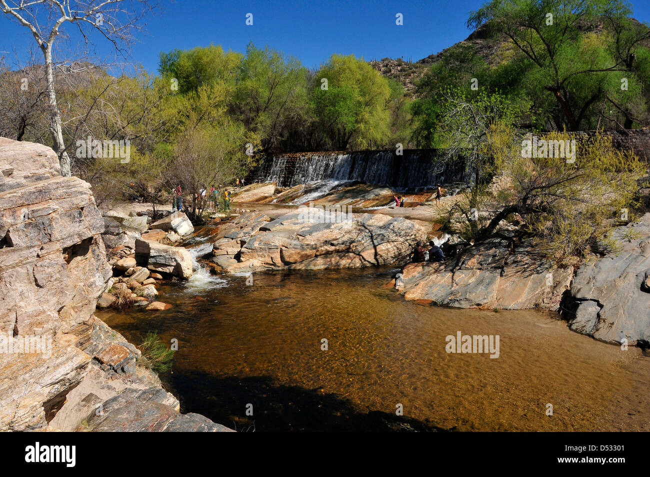 Water flows in Sabino Creek, Sabino Canyon Recreation Area, Coronado ...