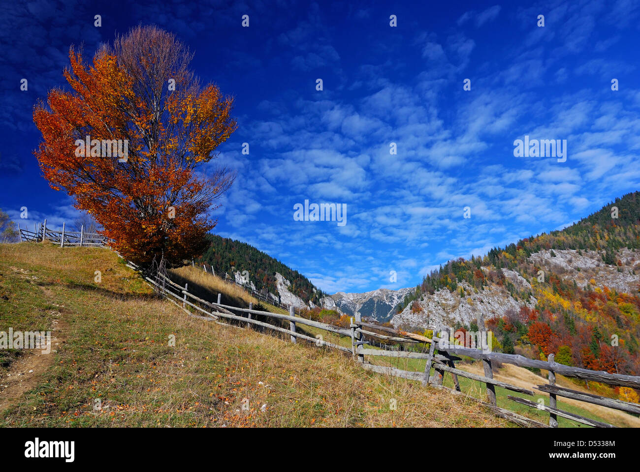 Romania landscape scenery hi-res stock photography and images - Alamy