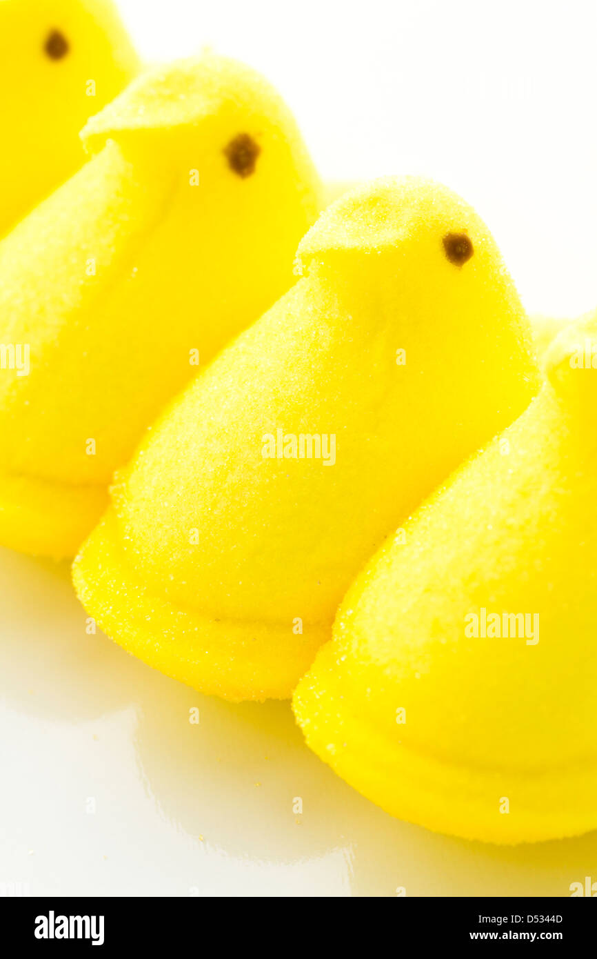 Marshmallow chicks for Easter on a white background Stock Photo - Alamy