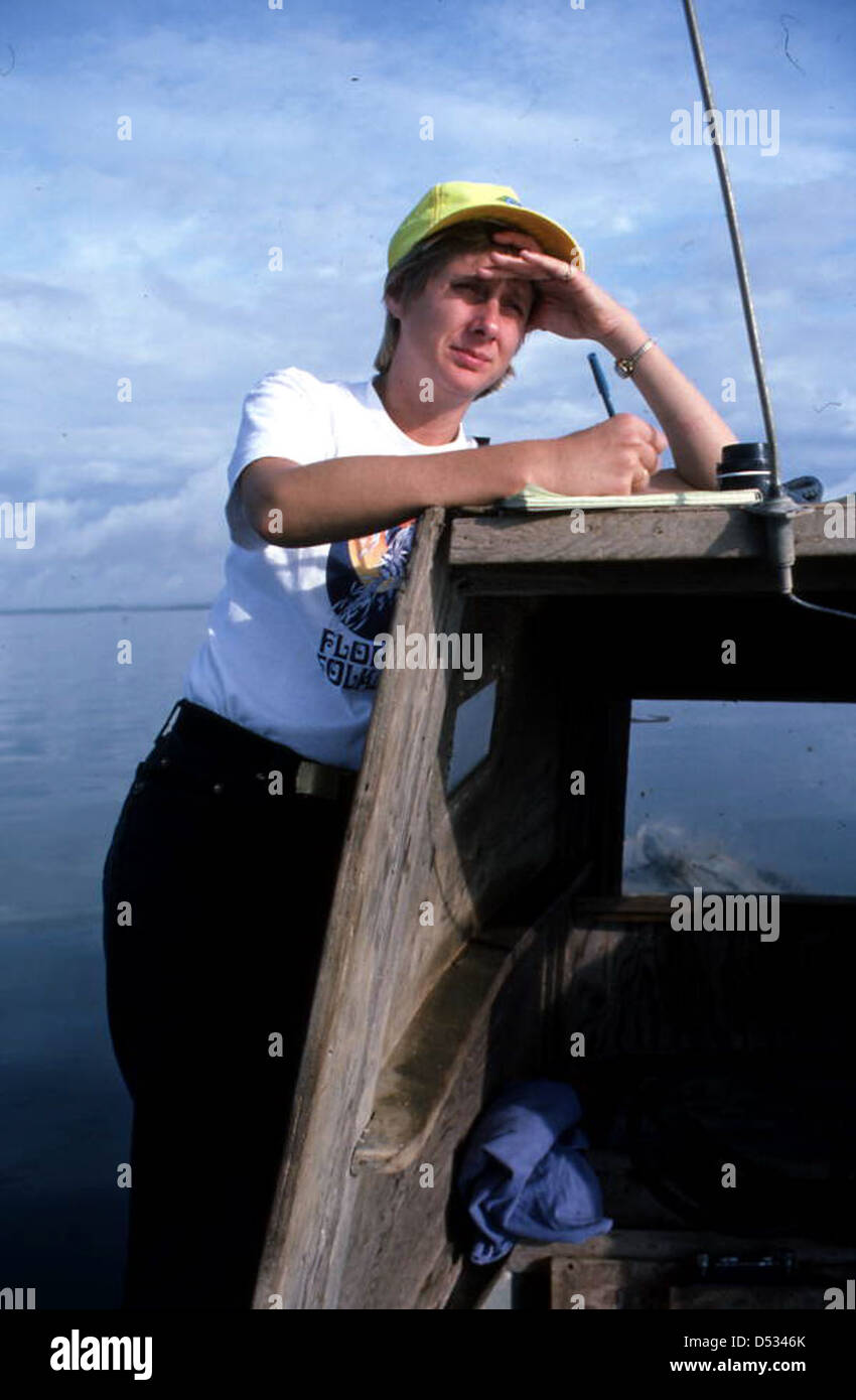 State library and archives of florida hi-res stock photography and ...