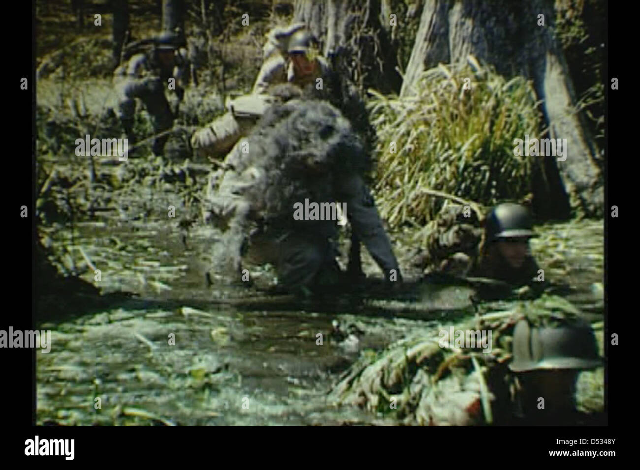 Wakulla spring hi-res stock photography and images - Alamy