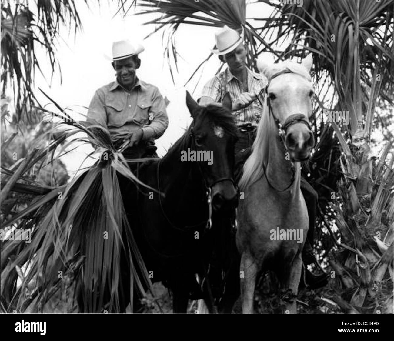 W. Eslinger and Don Massey are shown preparing palmetto sticks for a ...