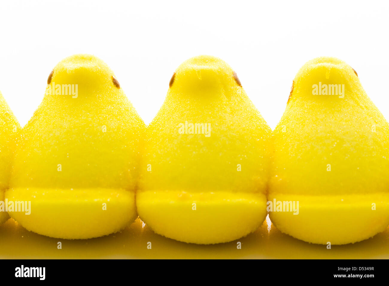 Marshmallow chicks for Easter on a white background Stock Photo - Alamy