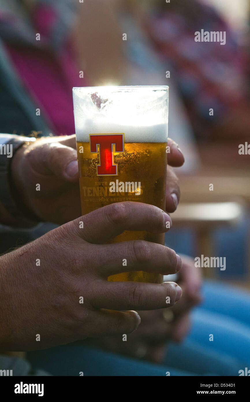 People drinking pints of larger beer Stock Photo - Alamy