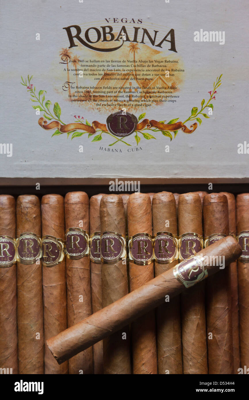 Cuba, Pinar del Rio Province, San Luis, Alejandro Robaina Tobacco ...